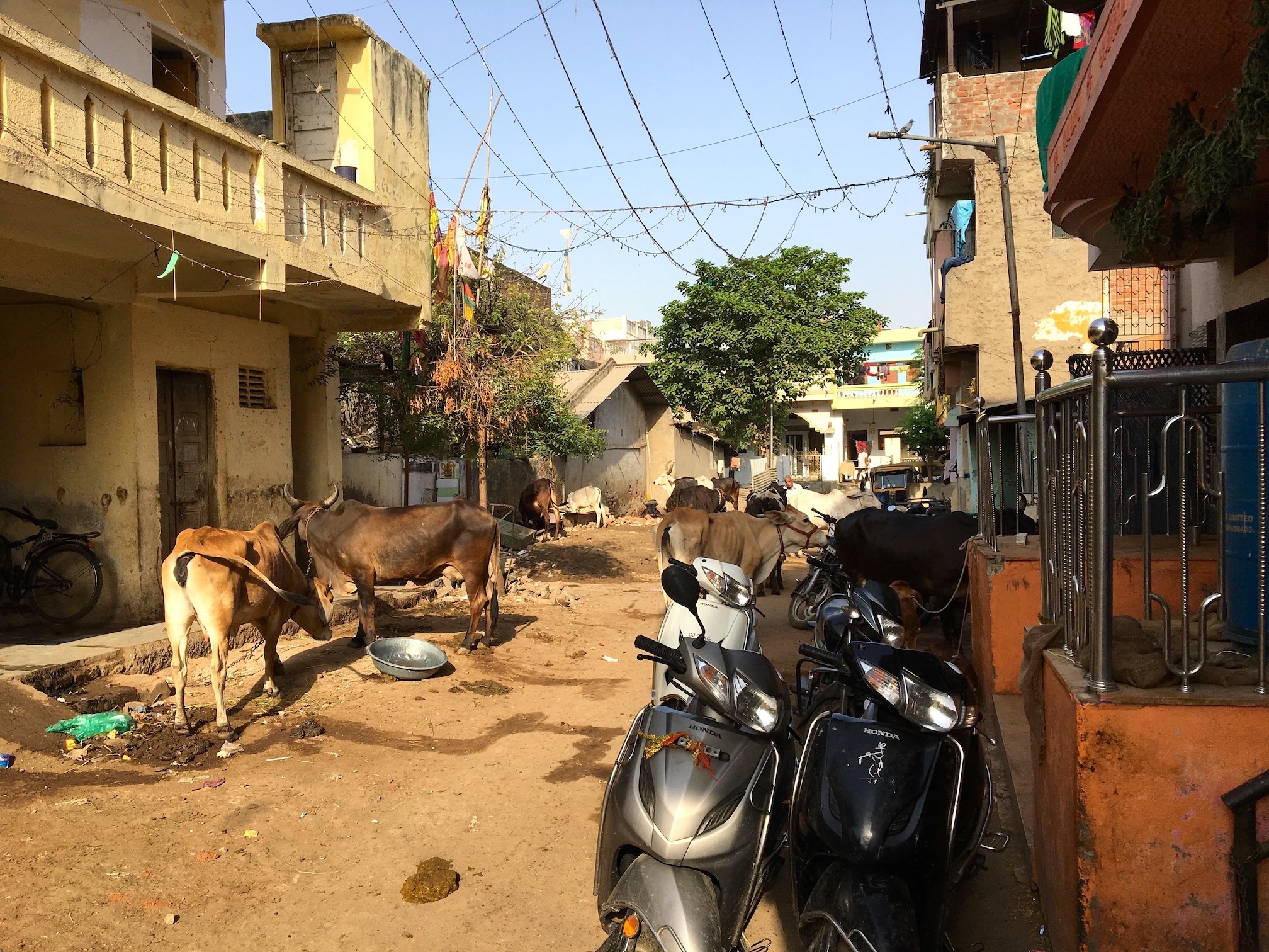 Symposium on One Health and Urban Transformation – Closing event of the ...